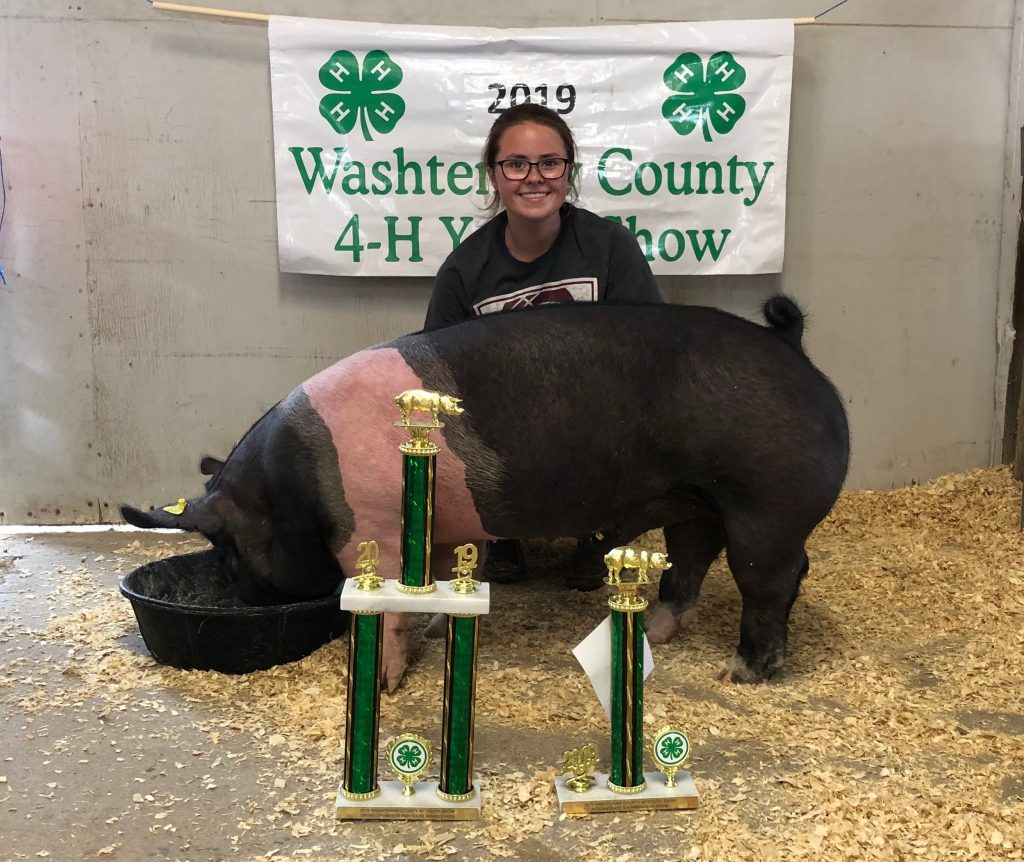Champions – Arbuckle Farms & Arbuckle Show Pigs